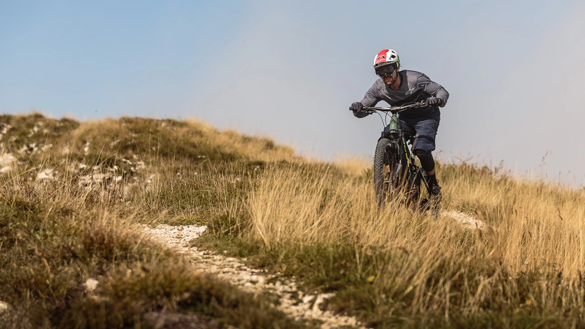 Welcome | Lee Cougan