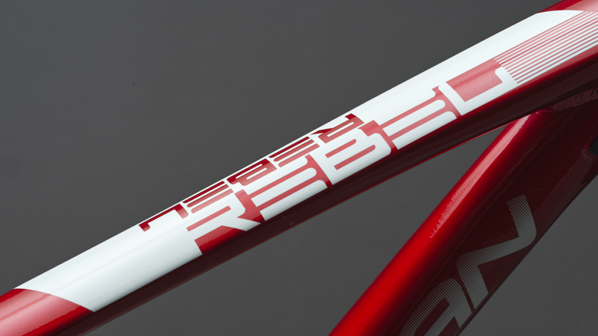 Rebel | Cross country bikes | Lee Cougan